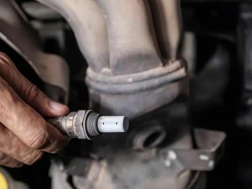 Causas archivos - alziraimport